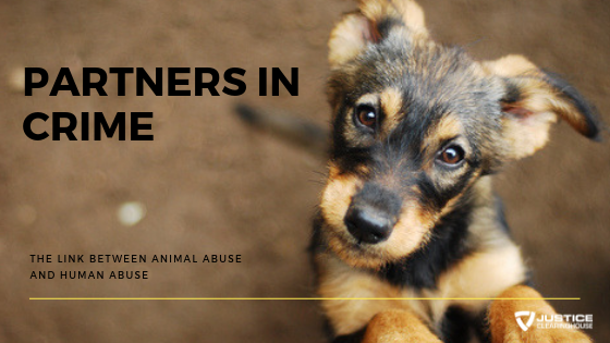 Infographic: Partners in Crime – The Link between animal abuse and human abuse – Justice ...