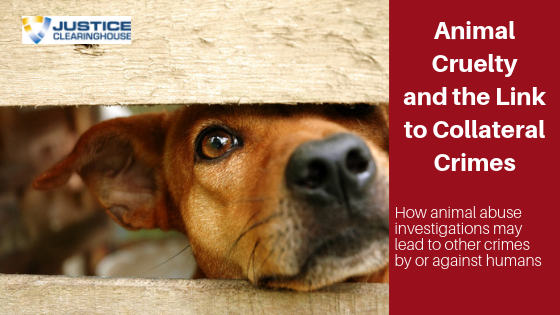Animal Cruelty and the Link to Collateral Crimes – How animal abuse investigations may lead to ...