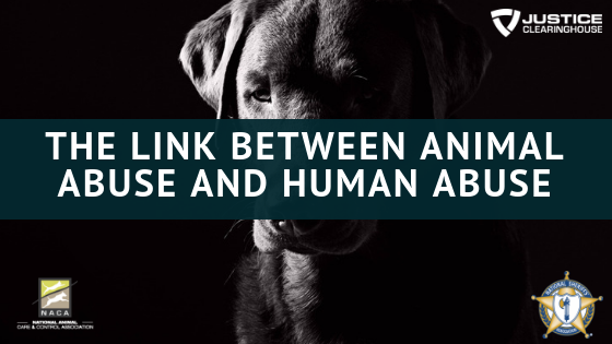 The Link between Animal Abuse and Human Abuse – Justice Clearinghouse