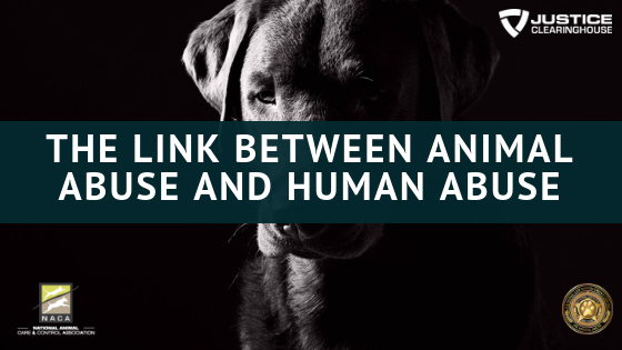 The Missing LINK in Social Work: Addressing Animal Abuse to Improve Delivery of Services to ...