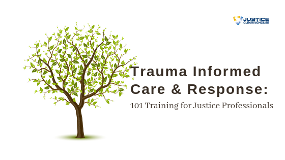 Trauma Informed Care and Response: 101 Training for Justice ...