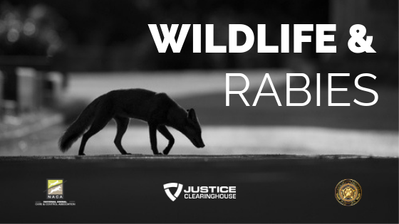 Wildlife and Rabies – Justice Clearinghouse