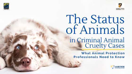 The Status of Animals in Criminal Animal Cruelty Cases: What Animal ...
