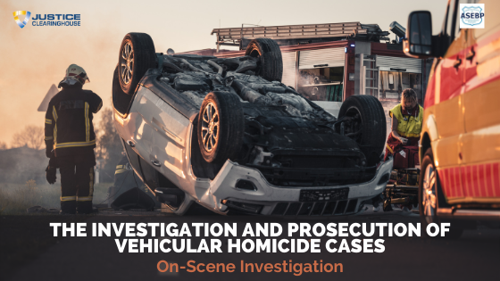 The Investigation and Prosecution of Criminal Vehicular Homicide Cases ...