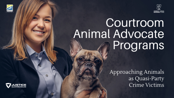 Using Innovative Alternatives to Incarceration and Recognizing the Role ...