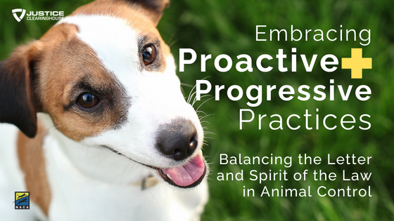 Embracing Proactive and Progressive Practices: Balancing the Letter and ...