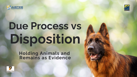 Due Process vs Disposition: Holding Animals and Remains as Evidence ...