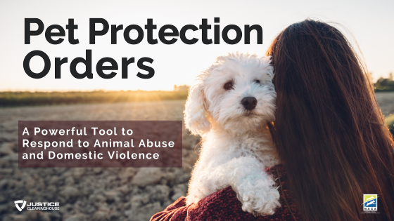 Pet Protection Orders: A Powerful Tool to Respond to Animal Abuse and ...