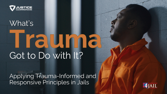 What’s Trauma Got To Do With It: Applying Trauma-Informed and ...