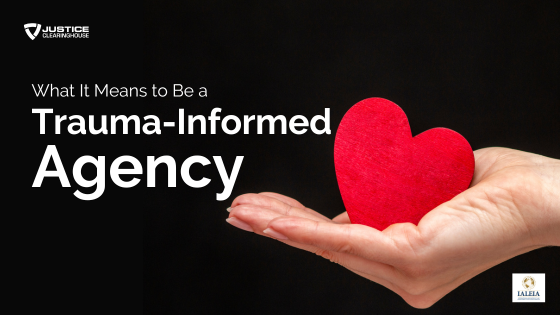What it Means to Be a Trauma Informed Law Enforcement Agency – Justice ...