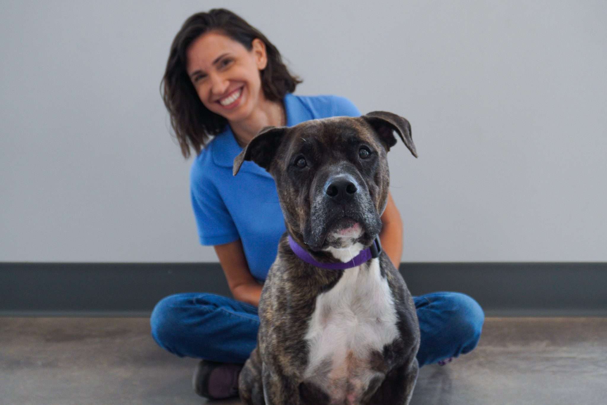 Misty Valenta – Justice Clearinghouse