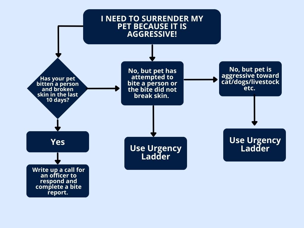 Overwhelmed, Overcrowded and Overburdened: Finding New and Creative ...