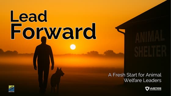 Lead Forward: A Fresh Start for Animal Welfare Leaders – Justice ...