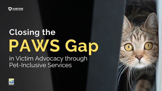 Domestic Violence and Sexual Assault – Justice Clearinghouse