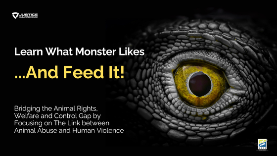 Domestic Violence and Sexual Assault – Justice Clearinghouse